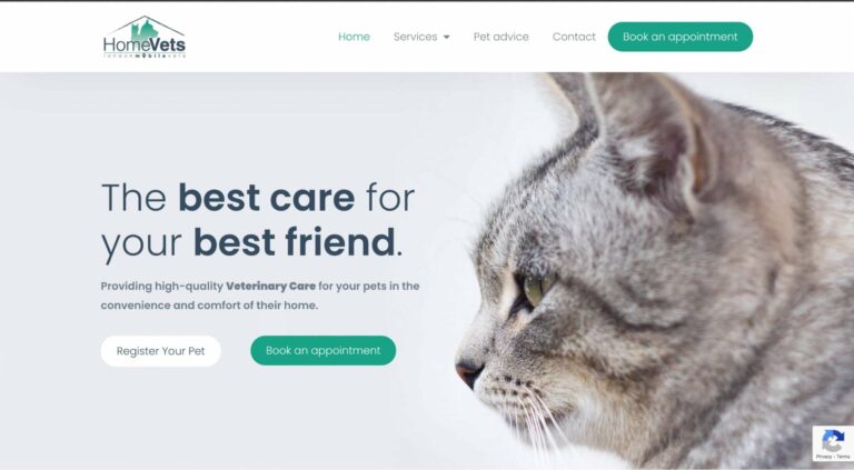 Check Out: The 6 Best Veterinarians in London [2026 ]