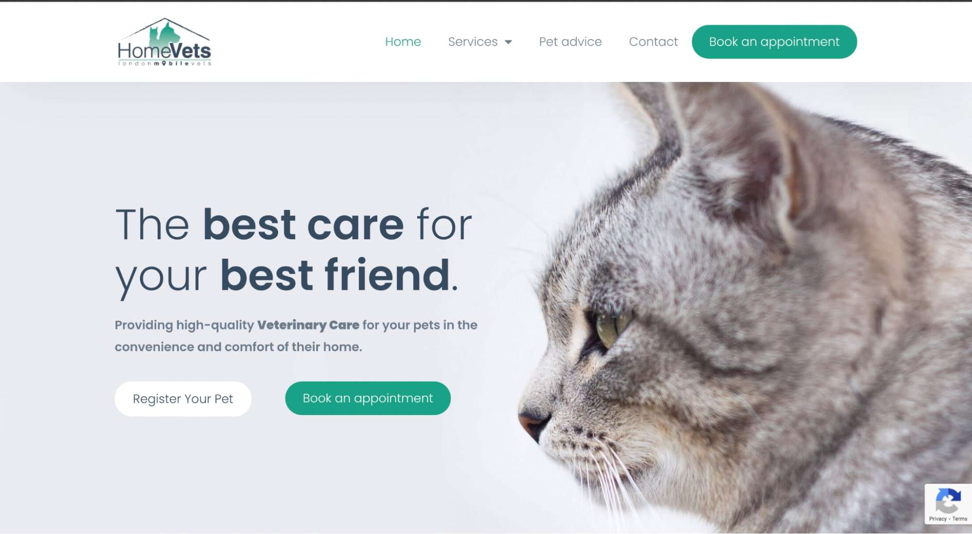 Check Out: The 6 Best Veterinarians in London [2026 ]