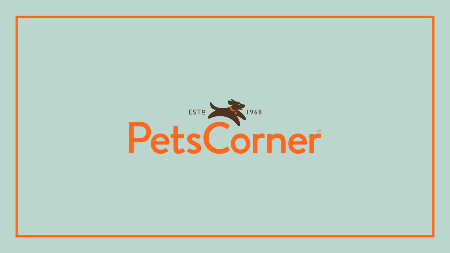 5 best cat pet shops in London for every feline needs